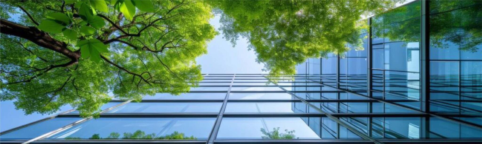 The Advantages of Using Glass: Transparency, Efficiency, and More