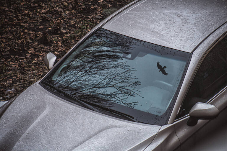 Automobile Glass: Types, Functions & Latest Industry Innovations